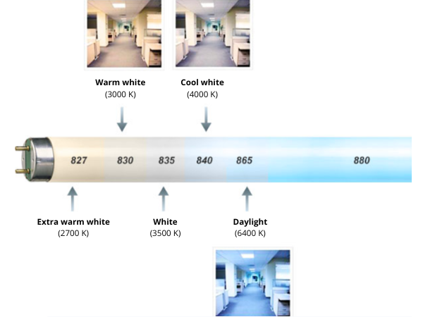 The Link Between the School Building Conditions and Pupil Attainment Levels